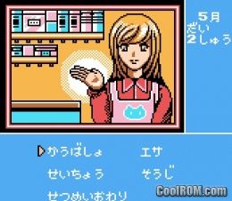 Ferret Monogatari (Japan) ROM Download for Gameboy Color / GBC ...
