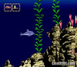 Ecco Jr. - Alchetron, The Free Social Encyclopedia