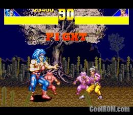 Power Instinct ROM Download for Sega Genesis - CoolROM.com