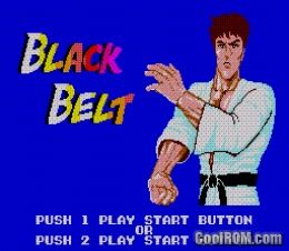 Shinobi ROM Sega Master System - CoolROM.com