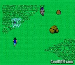 Ninja ROM Download for Sega Master System - CoolROM.com