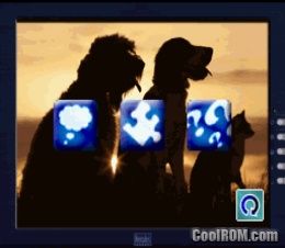 Pet Pals - Animal Doctor ROM Download for Nintendo DS / NDS - CoolROM.com
