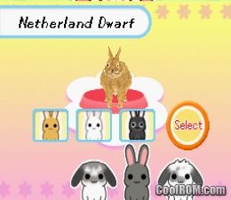 Petz - Bunnyz ROM Download for Nintendo DS / NDS - CoolROM.com