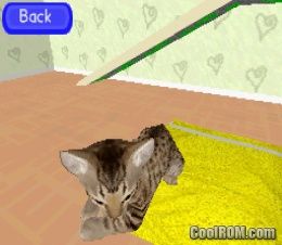 Petz - Catz 2 ROM Download for Nintendo DS / NDS - CoolROM.com