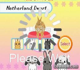 Petz - Bunnyz ROM Nintendo DS / NDS - CoolROM.com